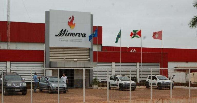 Minerva Foods acompaña la producción sostenible en el Chaco paraguayo ...