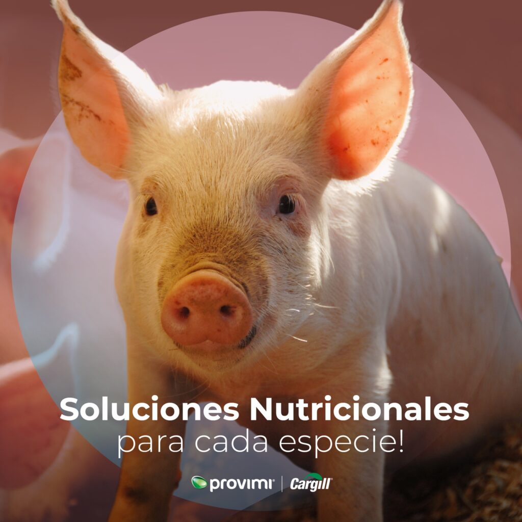 PROVIMI CARGILL apuestan a la Fericerdo 2023 – Ganados & Carnes