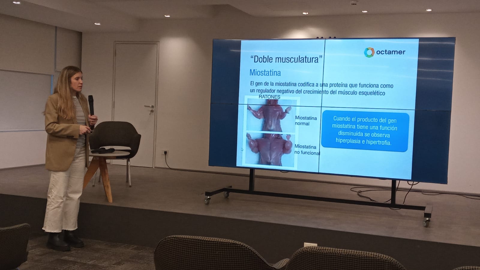 F94L, una variante del gen de la miostatina, presente en los Limousin ...